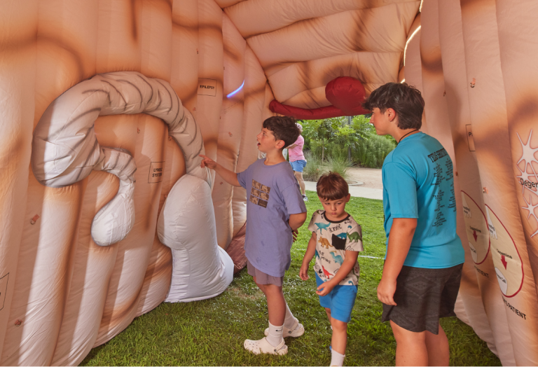 mega brain® | Medical Inflatables