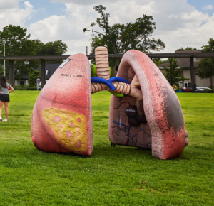 Interactive Medical Inflatable Exhibits | Mega Inflatables Product Range