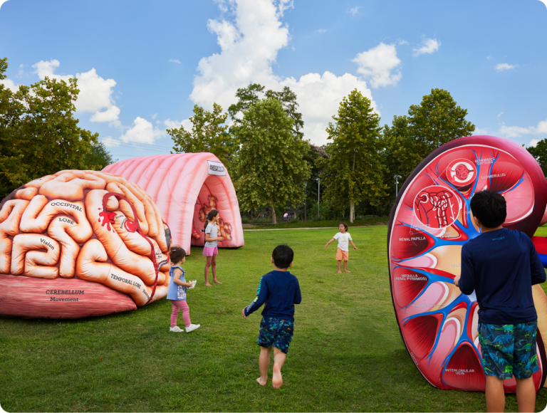 mega brain® | Medical Inflatables