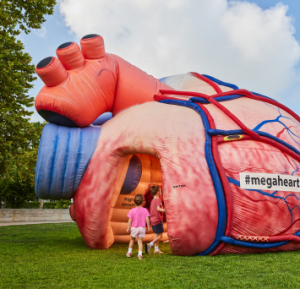 Interactive Medical Inflatable Exhibits | Mega Inflatables Product Range