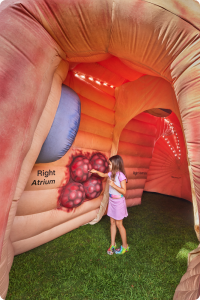 Medical Inflatables | Immersive Health Education & Interactive Exhibits