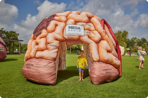 mega brain® | Medical Inflatables