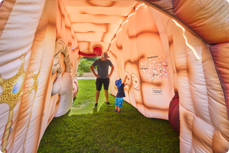 Medical Inflatables | Immersive Health Education & Interactive Exhibits