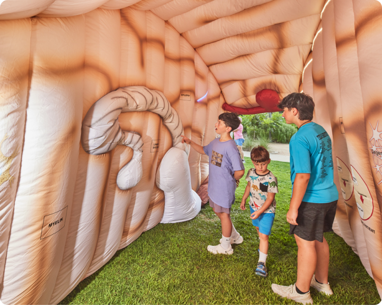 Medical Inflatables | Immersive Health Education & Interactive Exhibits