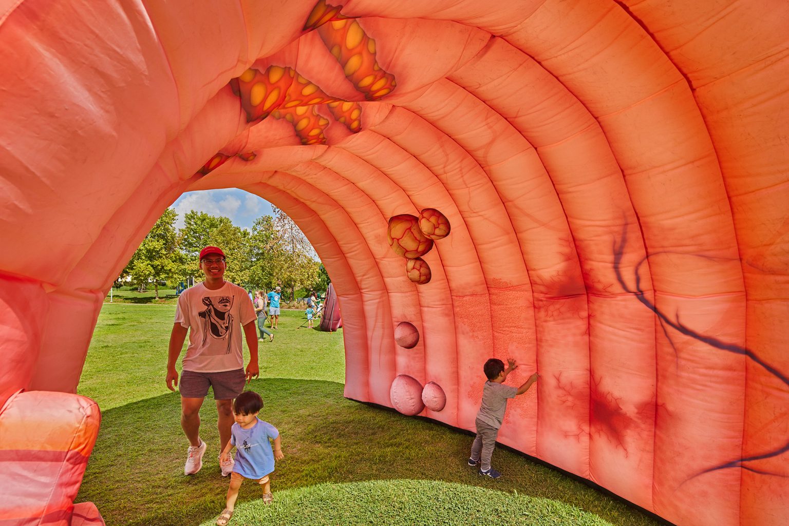 mega colon™ | Medical Inflatables