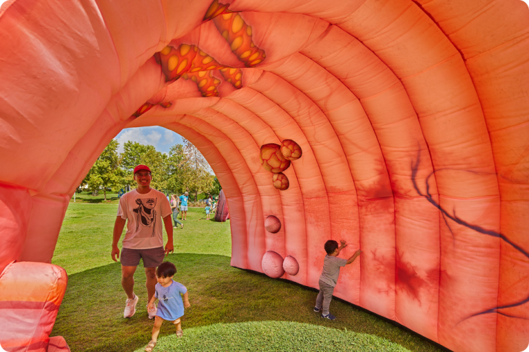 Medical Inflatables | Immersive Health Education & Interactive Exhibits