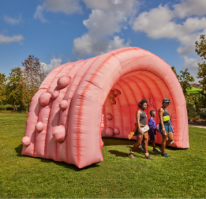 Interactive Medical Inflatable Exhibits | Mega Inflatables Product Range