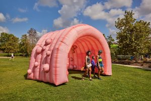 mega colon™ | Medical Inflatables