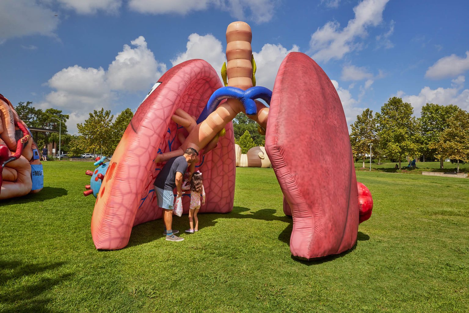 mega lungs™ | Immersive Health Education & Interactive Exhibits