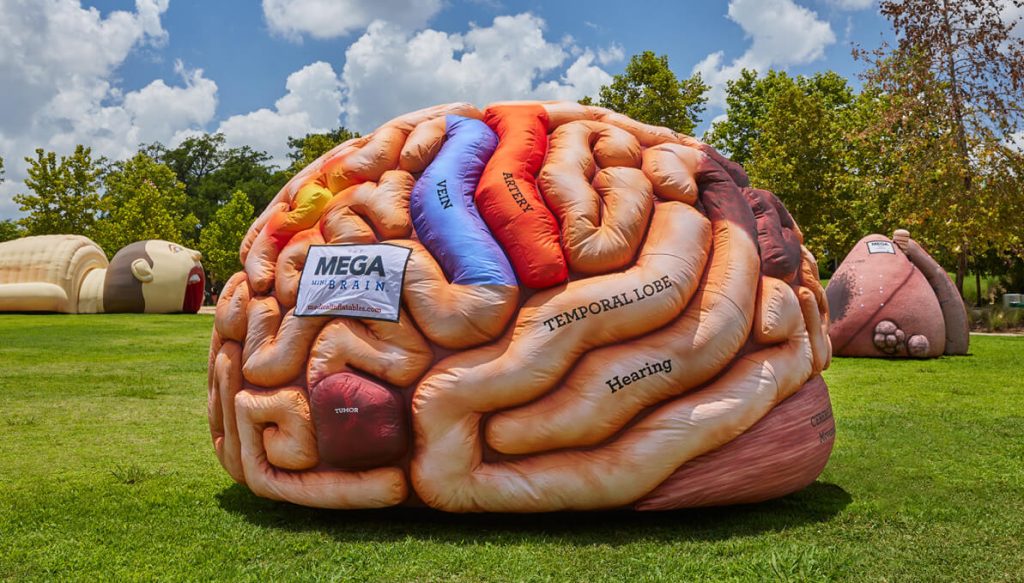 mega mini brain | Medical Inflatables