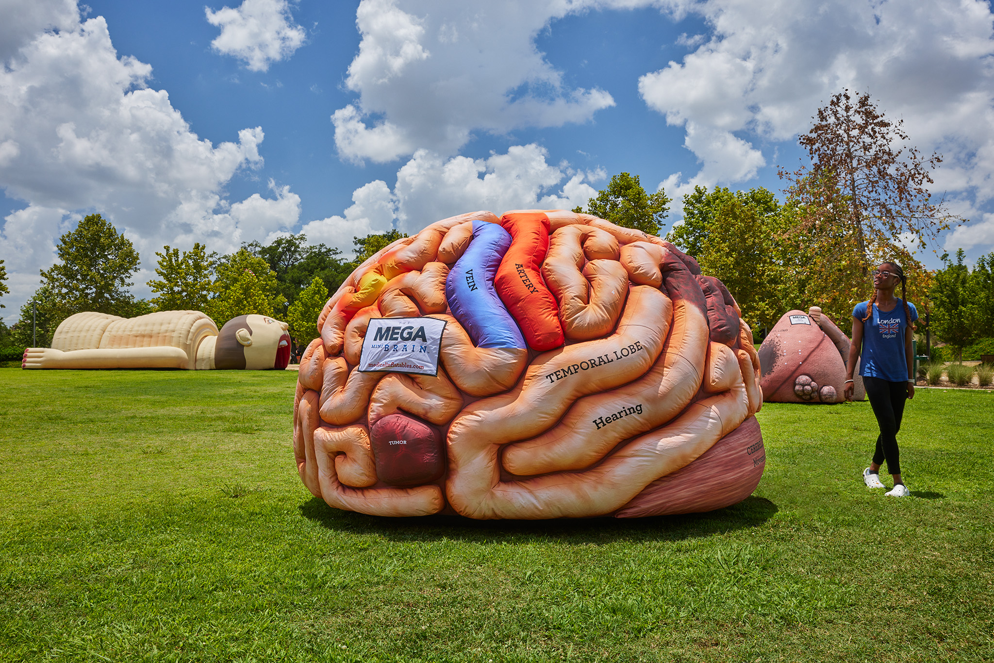 mega mini brain | Medical Inflatables