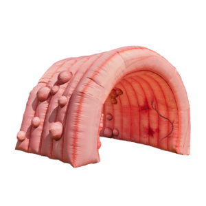 Interactive Medical Inflatable Exhibits | Mega Inflatables Product Range