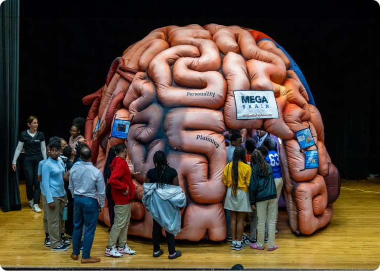mega brain® | Medical Inflatables