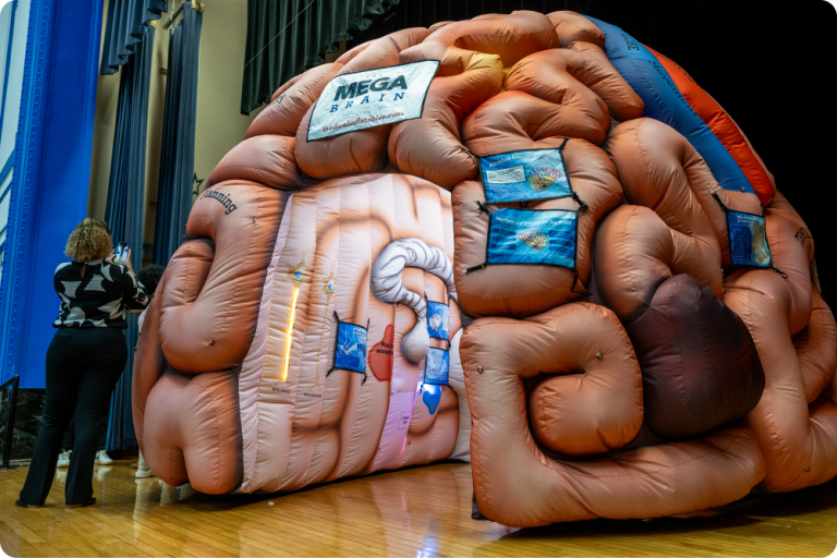 Medical Inflatables | Immersive Health Education & Interactive Exhibits