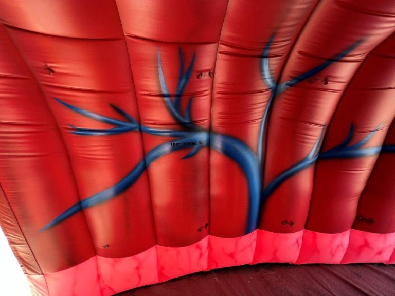 Health Fair Guide | Medical Inflatables