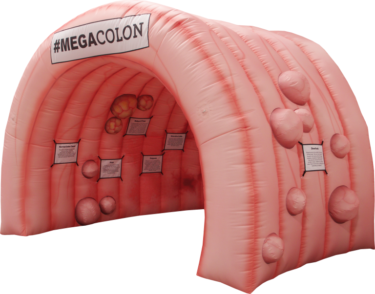 mega colon™ | Medical Inflatables