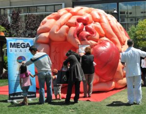 Health Fair Guide | Medical Inflatables