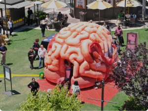 mega brain® | Medical Inflatables