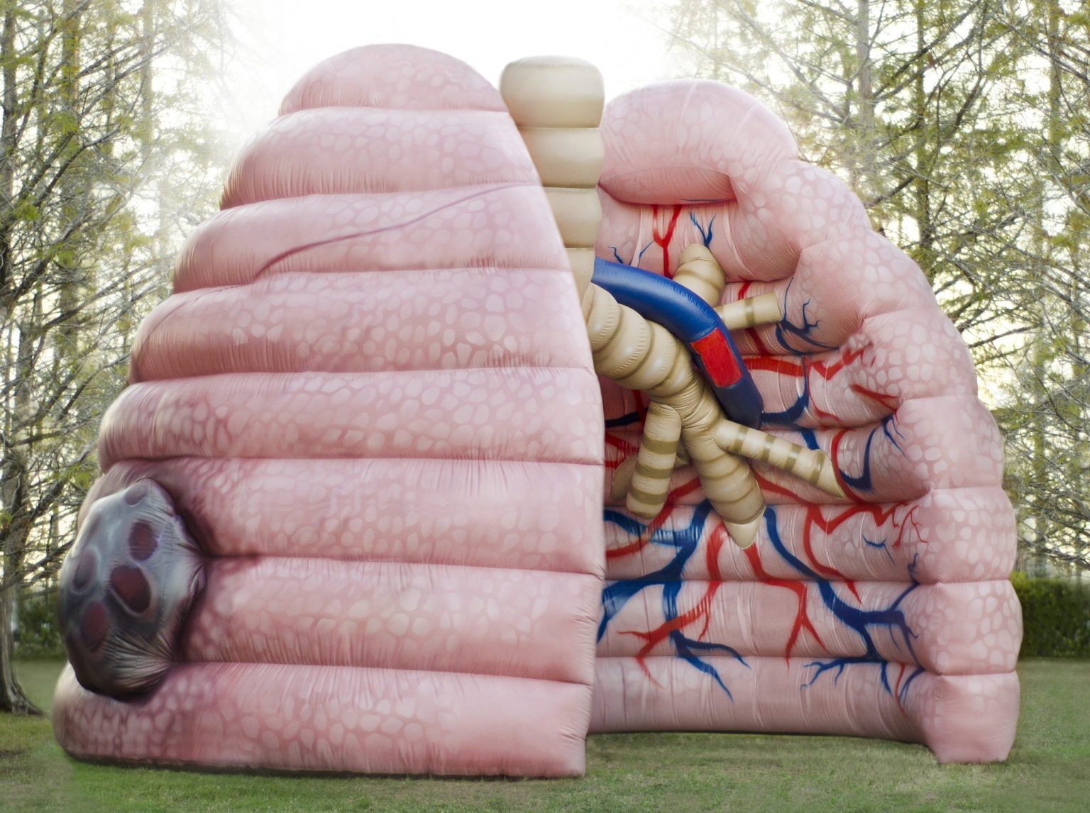 mega lungs™ | Immersive Health Education & Interactive Exhibits