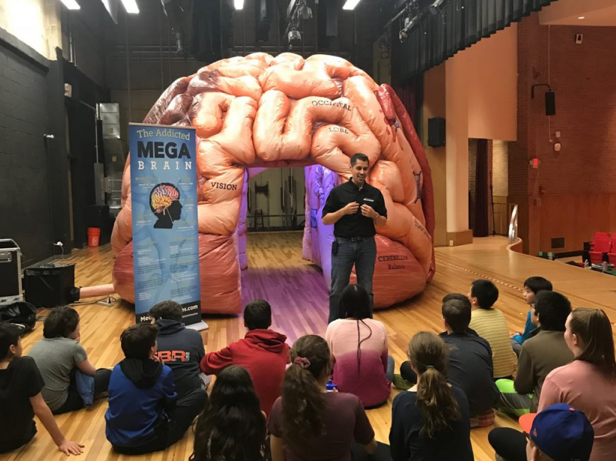brain talk before the abcs - teaching kids about the brain at an early ...