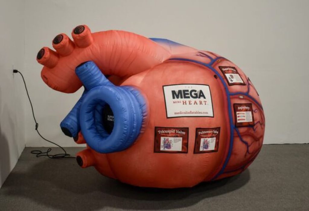 mega mini heart | Medical Inflatables