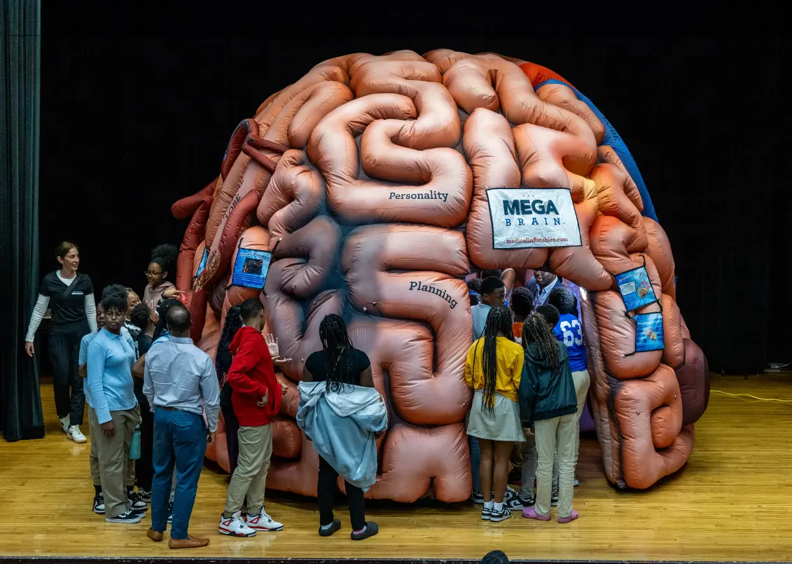 The Neuroscience of Addiction Program | Medical Inflatables